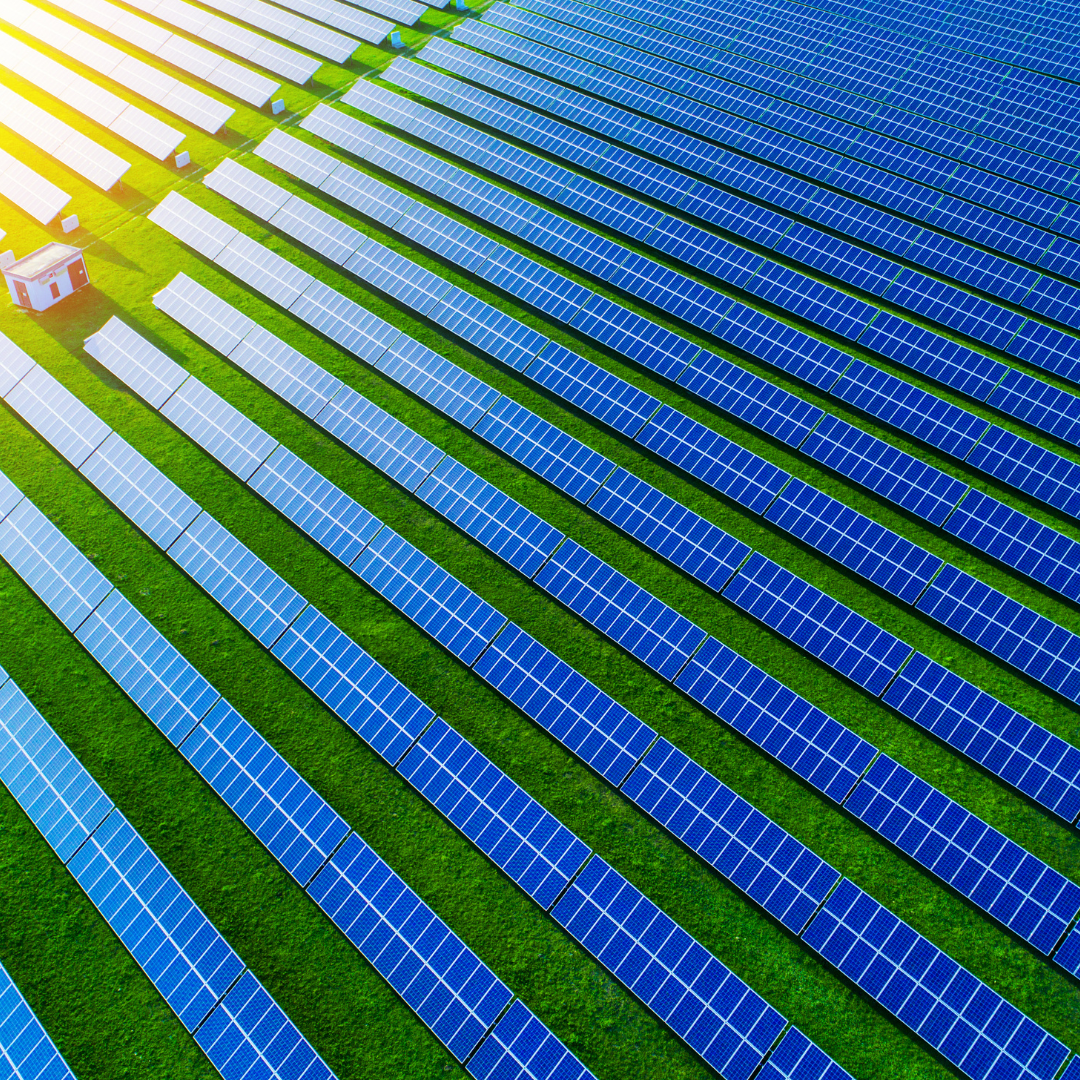 The Orphan Farm Solar Corporation – Rural Sun Farmers